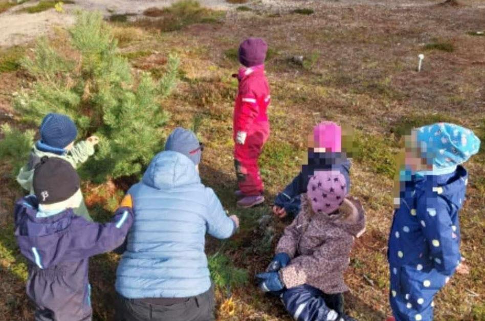 Hovedopptak til kommunale barnehager/privat barnehage i Engerdal 2024/2025 - Engerdal kommune